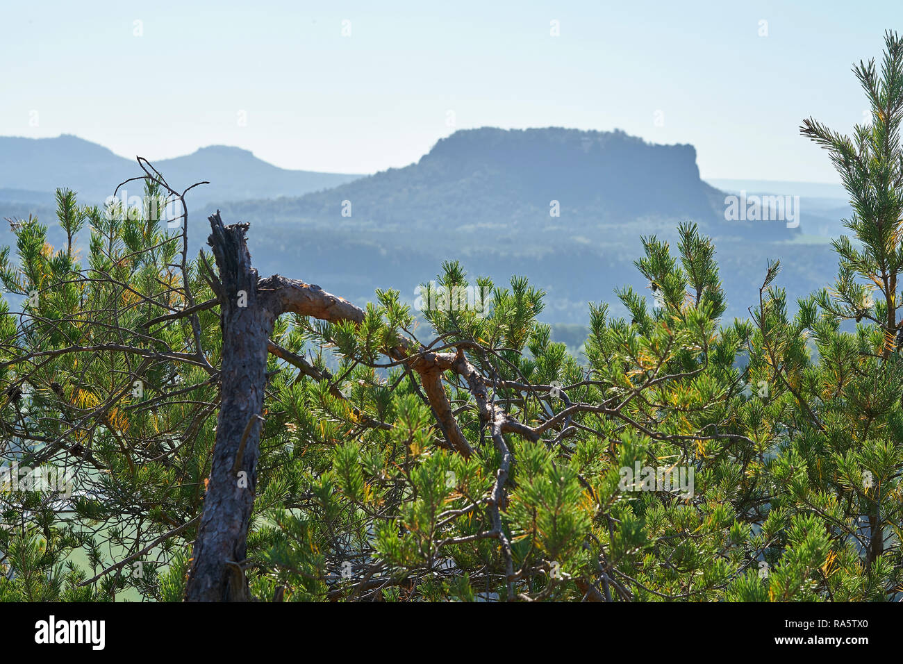 View of the Lilienstein in Saxon Switzerland Stock Photo - Alamy