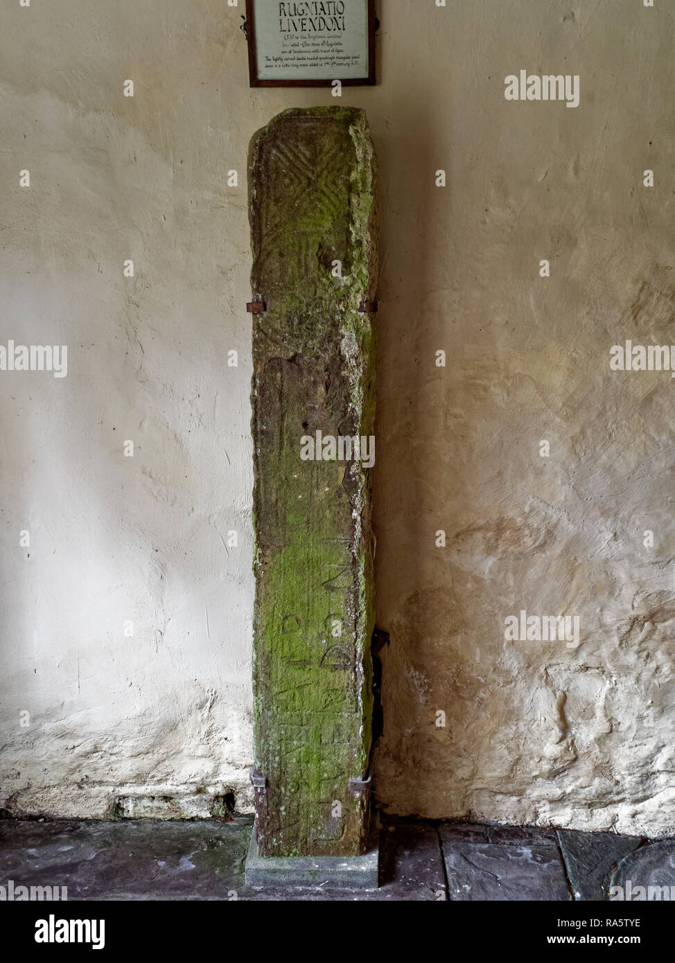 Oldest tree uk hi-res stock photography and images - Alamy