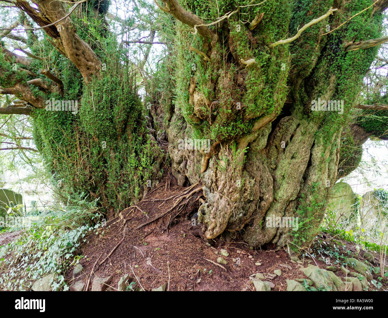 Defynnog hi-res stock photography and images - Alamy