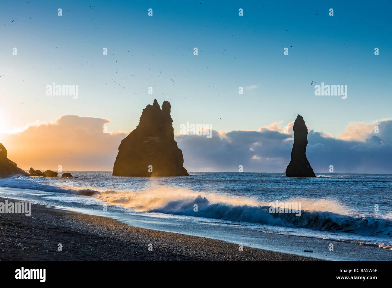 Reynisfjara Black Sand Beach in early morning light, with Atlantic ...
