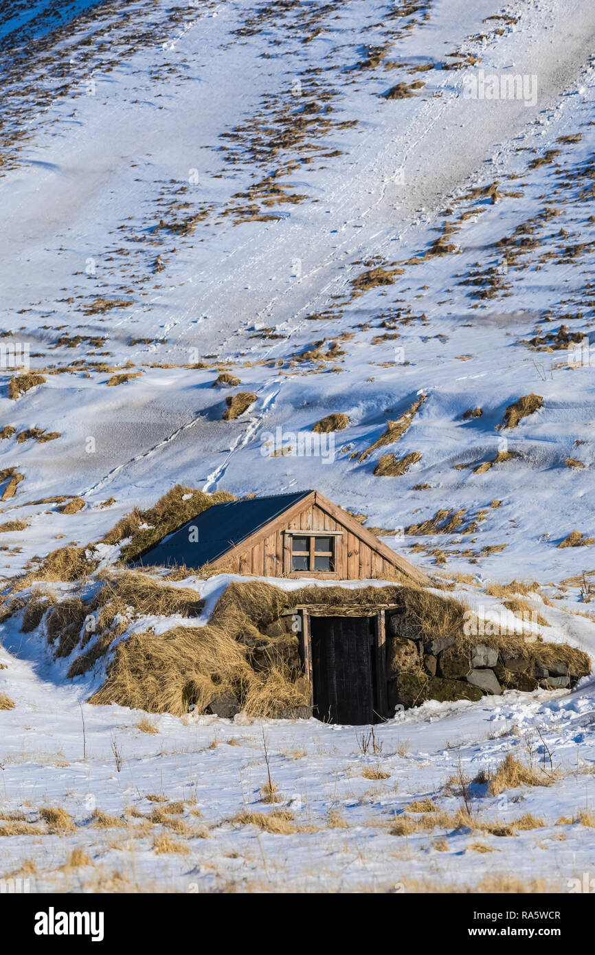 Barn constructed in traditional manner, with sod for insulation and a ...