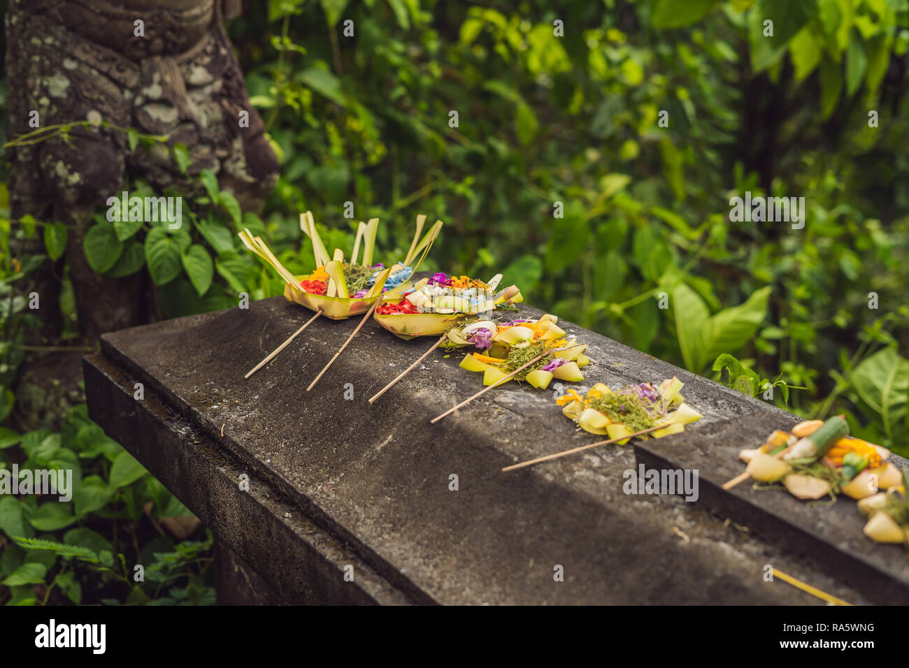Balinese Hindu Offerings Called Canang. Canang sari is one of the daily ...