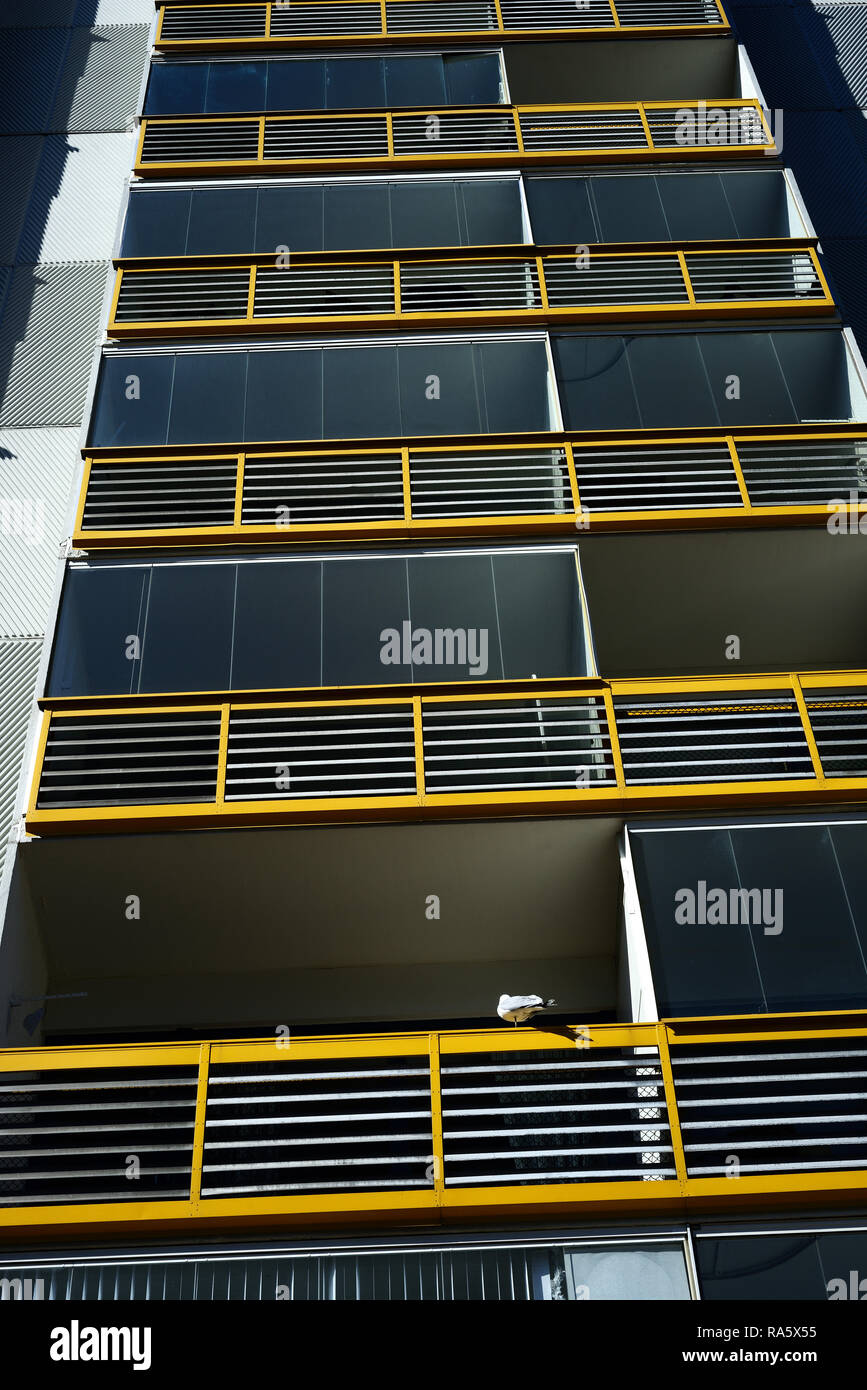 facade of a highrise building, a seagull on the balcony Stock Photo - Alamy