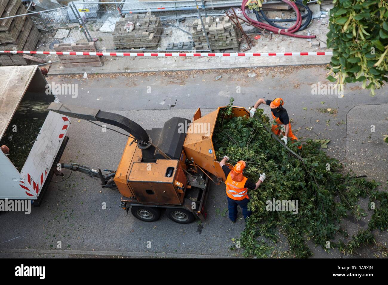 Tree cutting machine hi-res stock photography and images - Alamy
