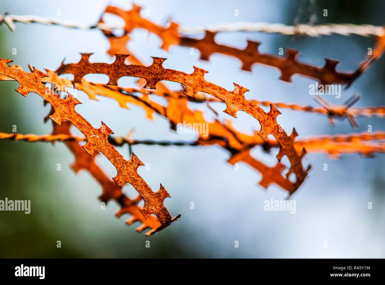 Rusty barbed wire fence on hi-res stock photography and images - Alamy