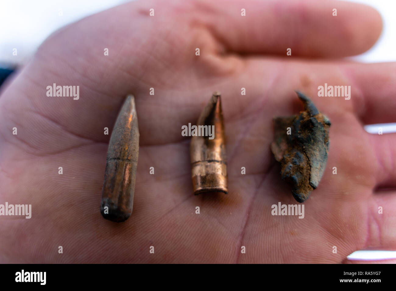 Shell Forms High Resolution Stock Photography and Images - Alamy