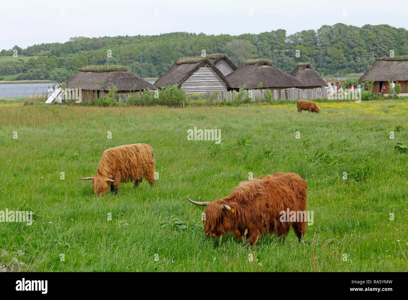Viking houses hi-res stock photography and images - Alamy