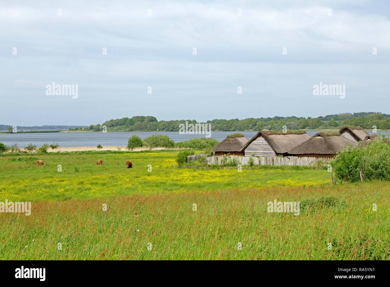 Viking houses in Hedeby Viking Museum, Haddeby, Schleswig-Holstein ...