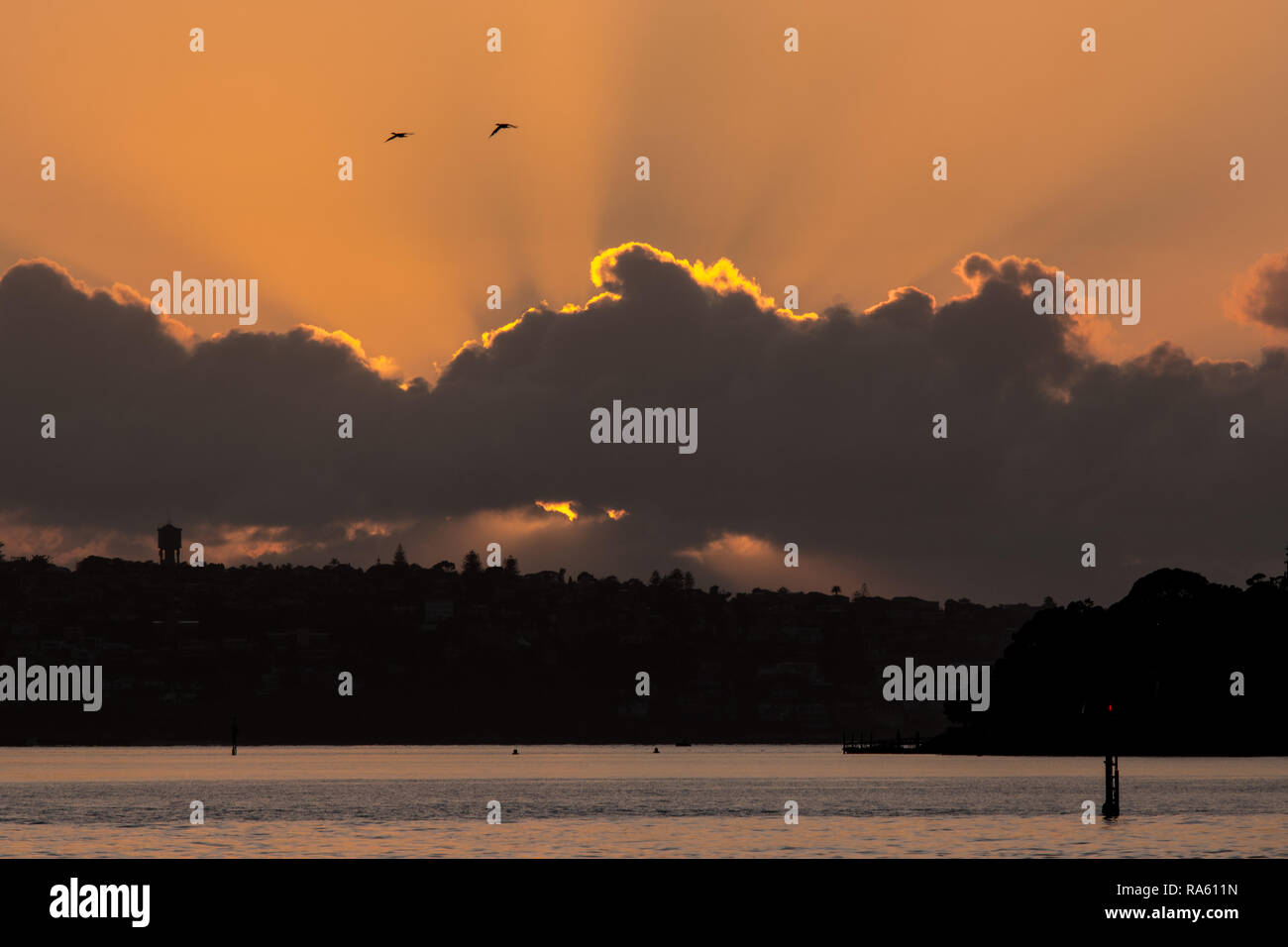 Sunrise landscape birds hi-res stock photography and images - Alamy