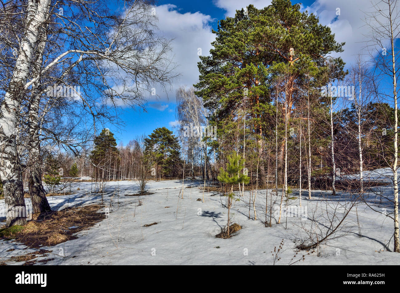 Silver thaw hi-res stock photography and images - Alamy