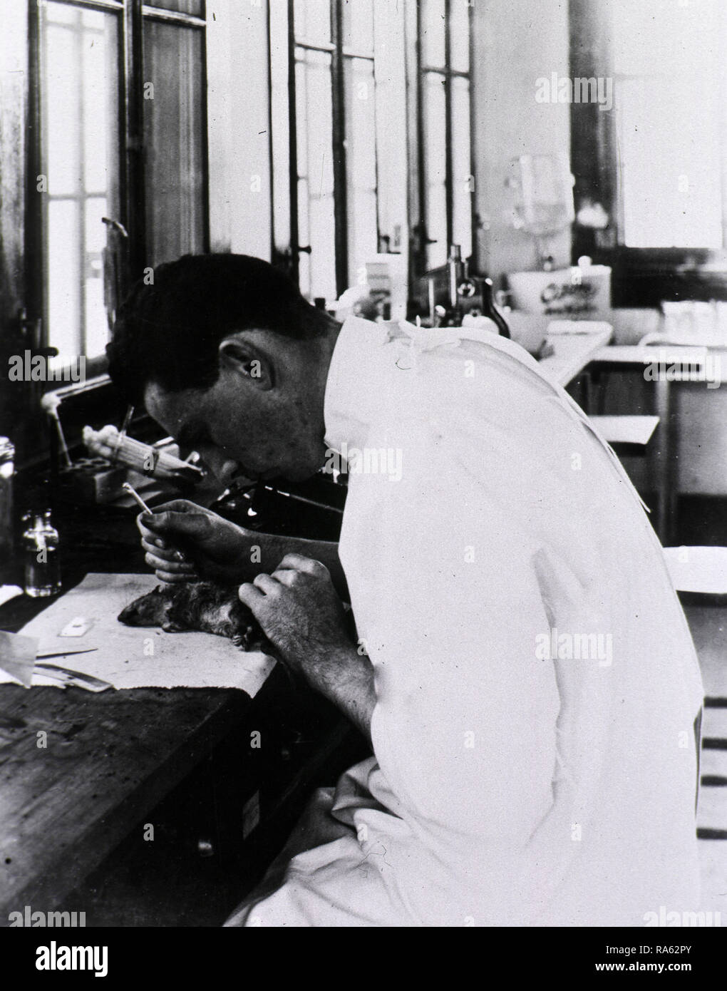 Medical laboratory 1910s hi-res stock photography and images - Alamy