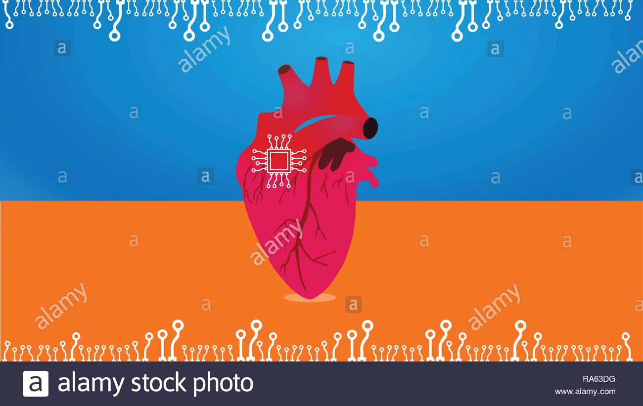 Programmer Icon Vector Vectors Stock Photos & Programmer Icon Vector ...