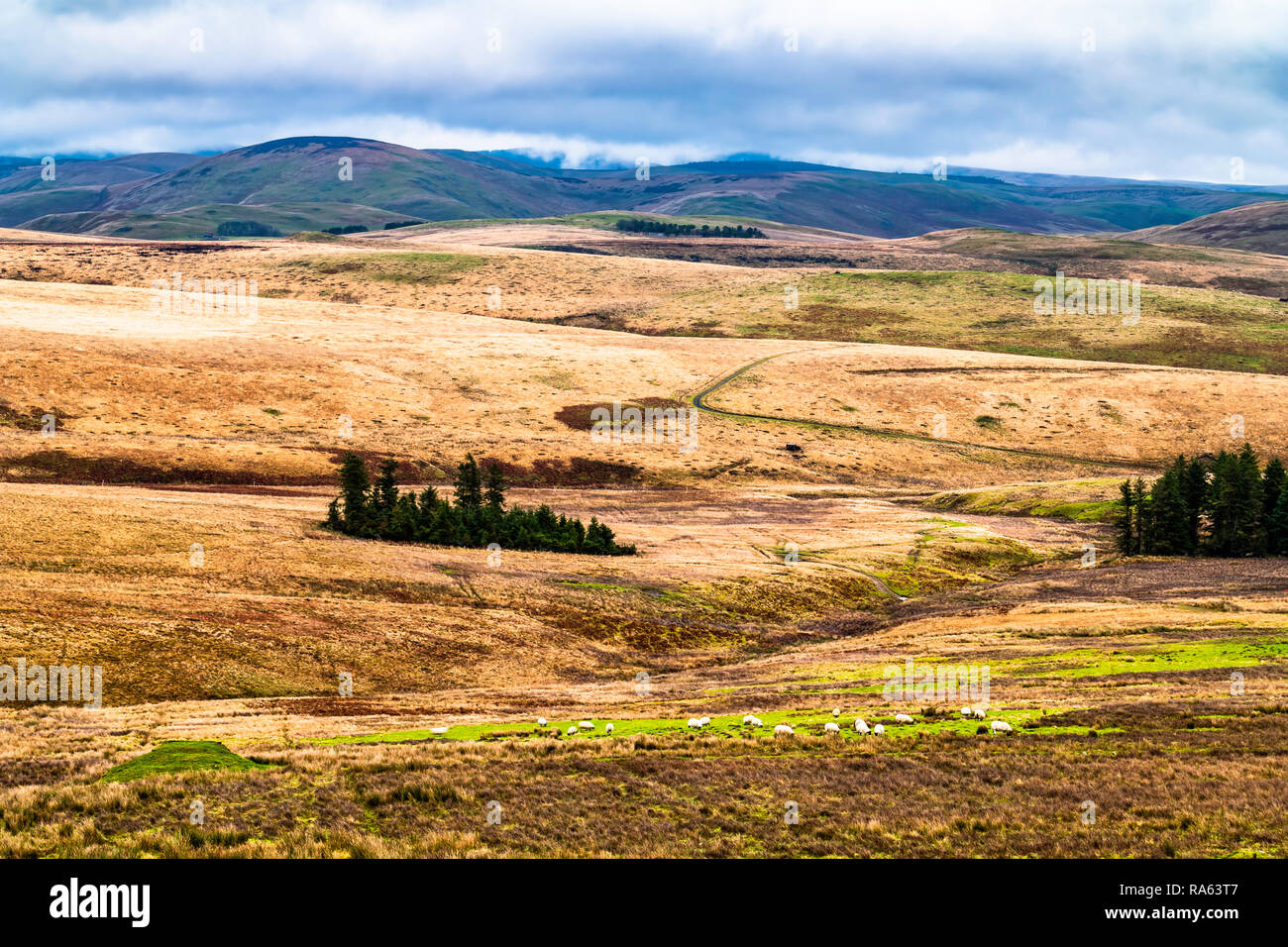 Otterburn Training Area High Resolution Stock Photography and Images ...