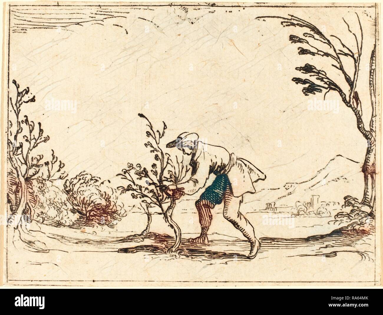 Jacques Callot, French (1592-1635), Man Cutting a Balm-Tree, etching ...