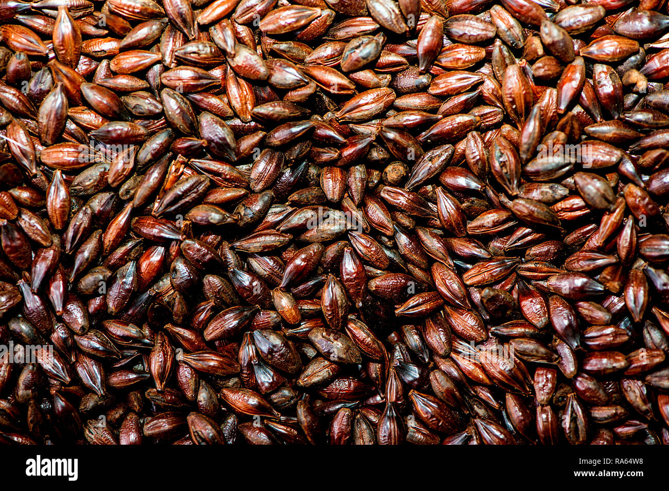background made of dark barley malt grains Stock Photo - Alamy