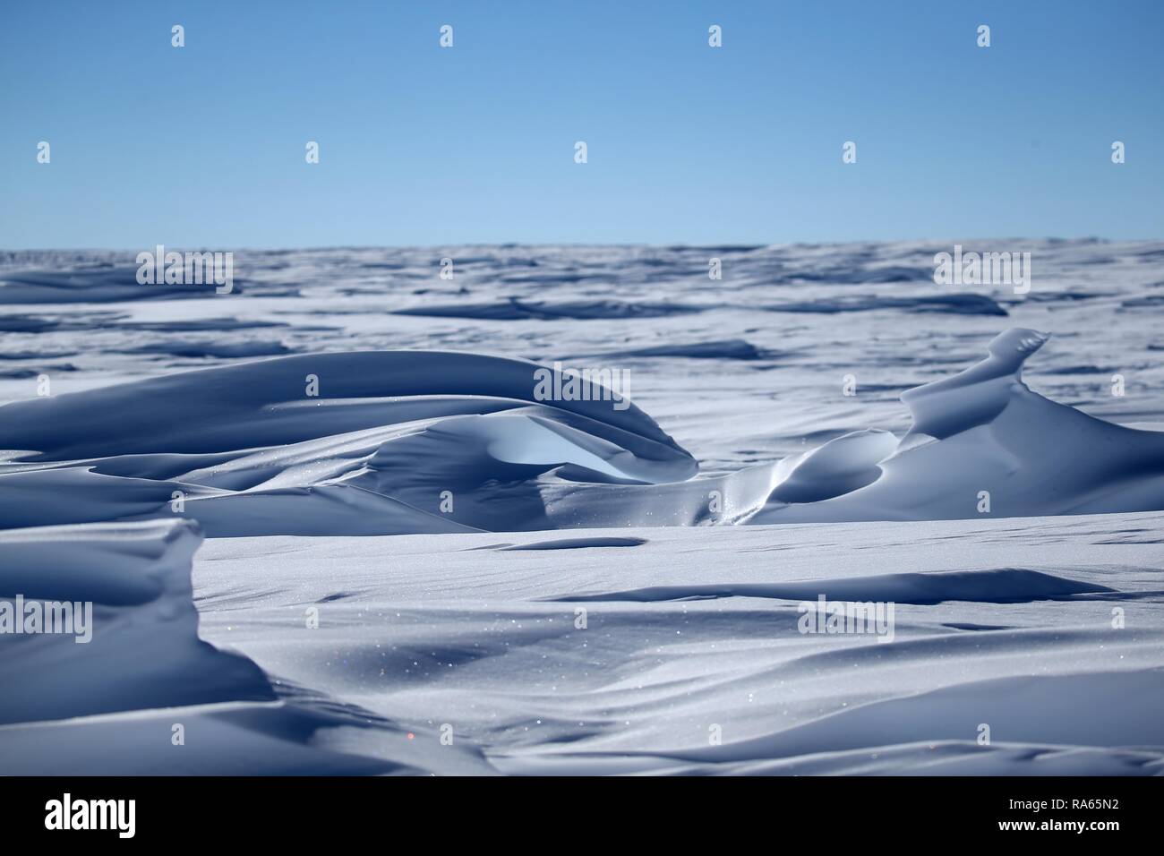 Antarctic Plateau