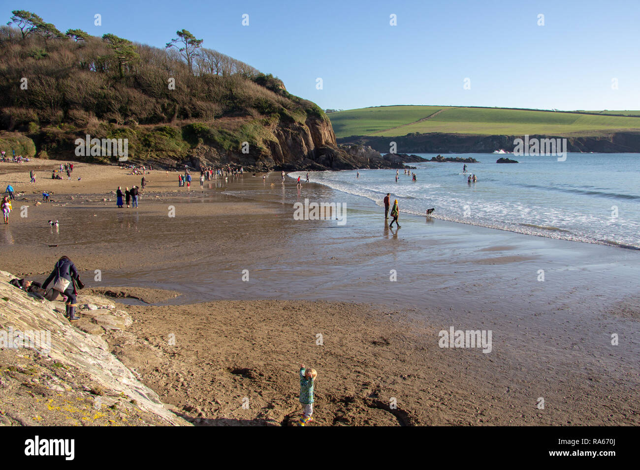Mothecombe Beach, Devon, UK. 1st January, 2019. Sea, Sand, Wooly Hats ...