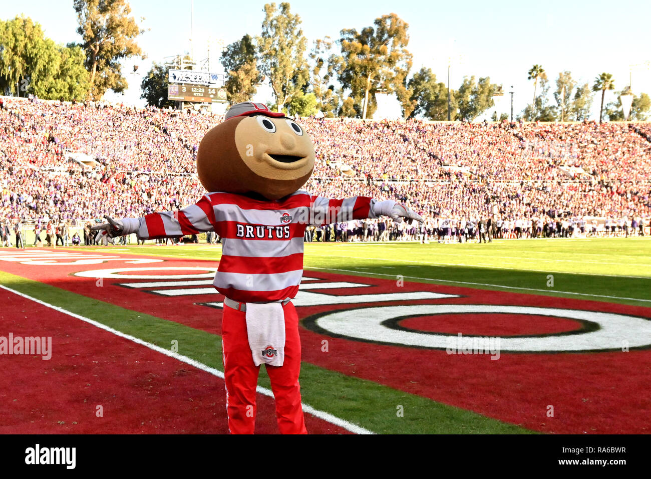 Brutus buckeye hi-res stock photography and images - Alamy