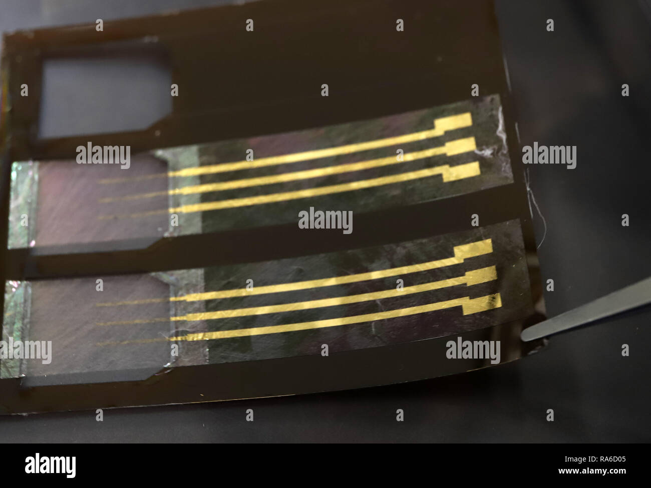 December 26, 2018, Tokyo, Japan - This picture taken on December 26 ...