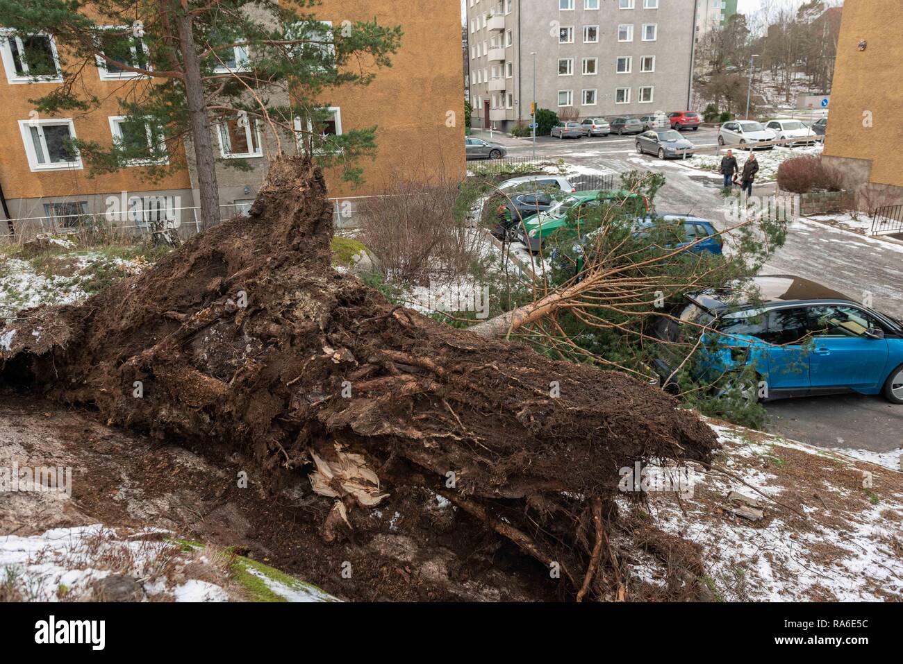Stockholm, Sweden. 2nd Jan, 2019. The storm Alfrida, which measured as ...