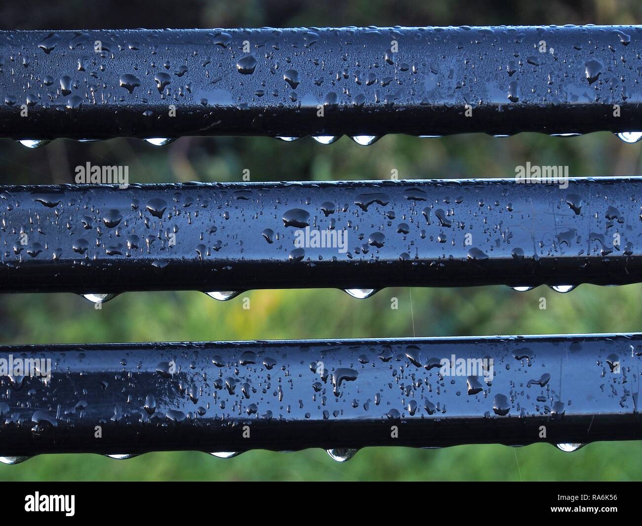 Close up of Water droplets on the rear rails of a Bench, Cockermouth ...