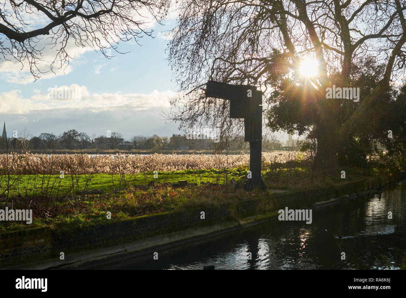 Woodberry Wetlands Nature Reserve, North London UK, in January, viewed ...