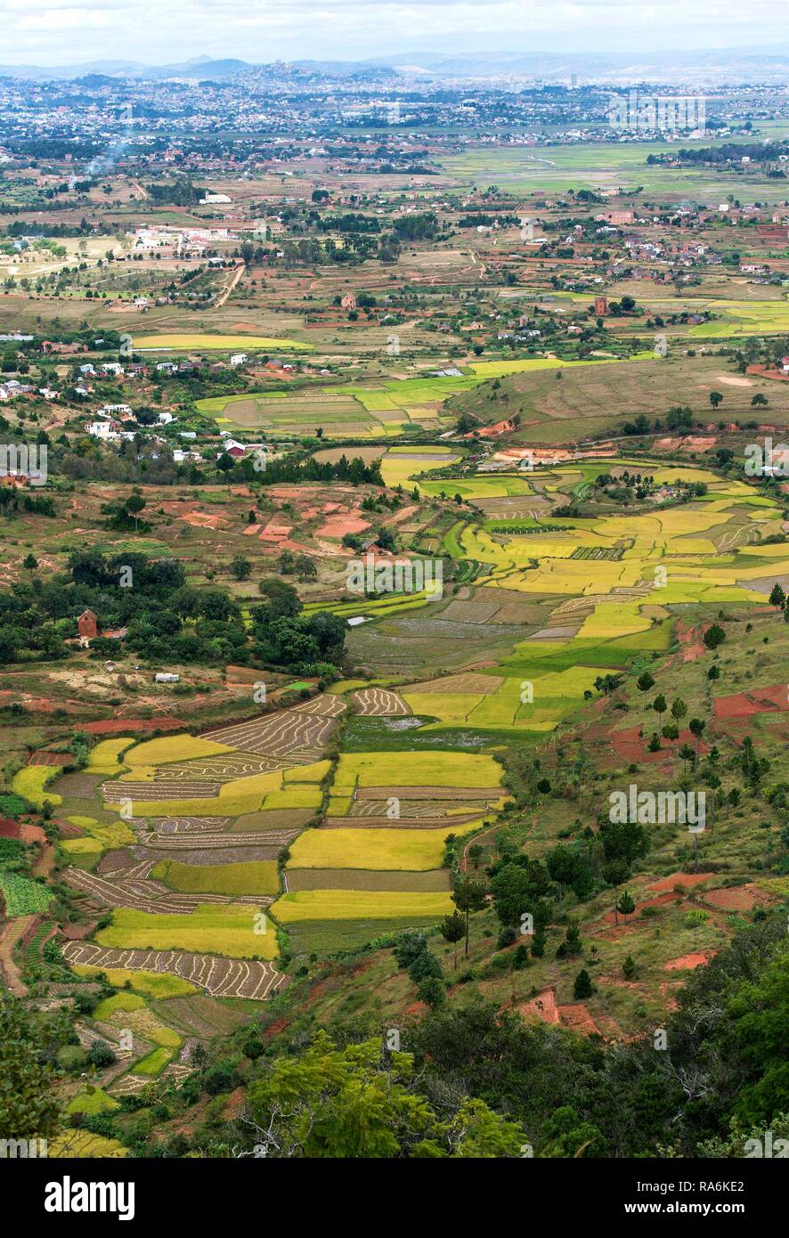 Madagascar rice terrace hi-res stock photography and images - Alamy