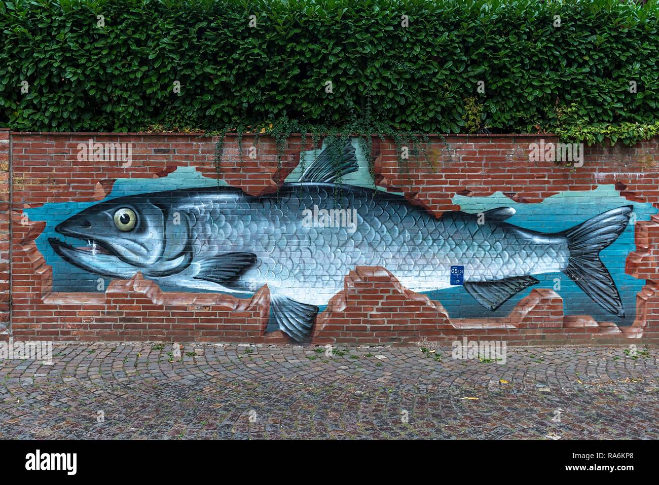 Graffiti wall fish hi-res stock photography and images - Alamy