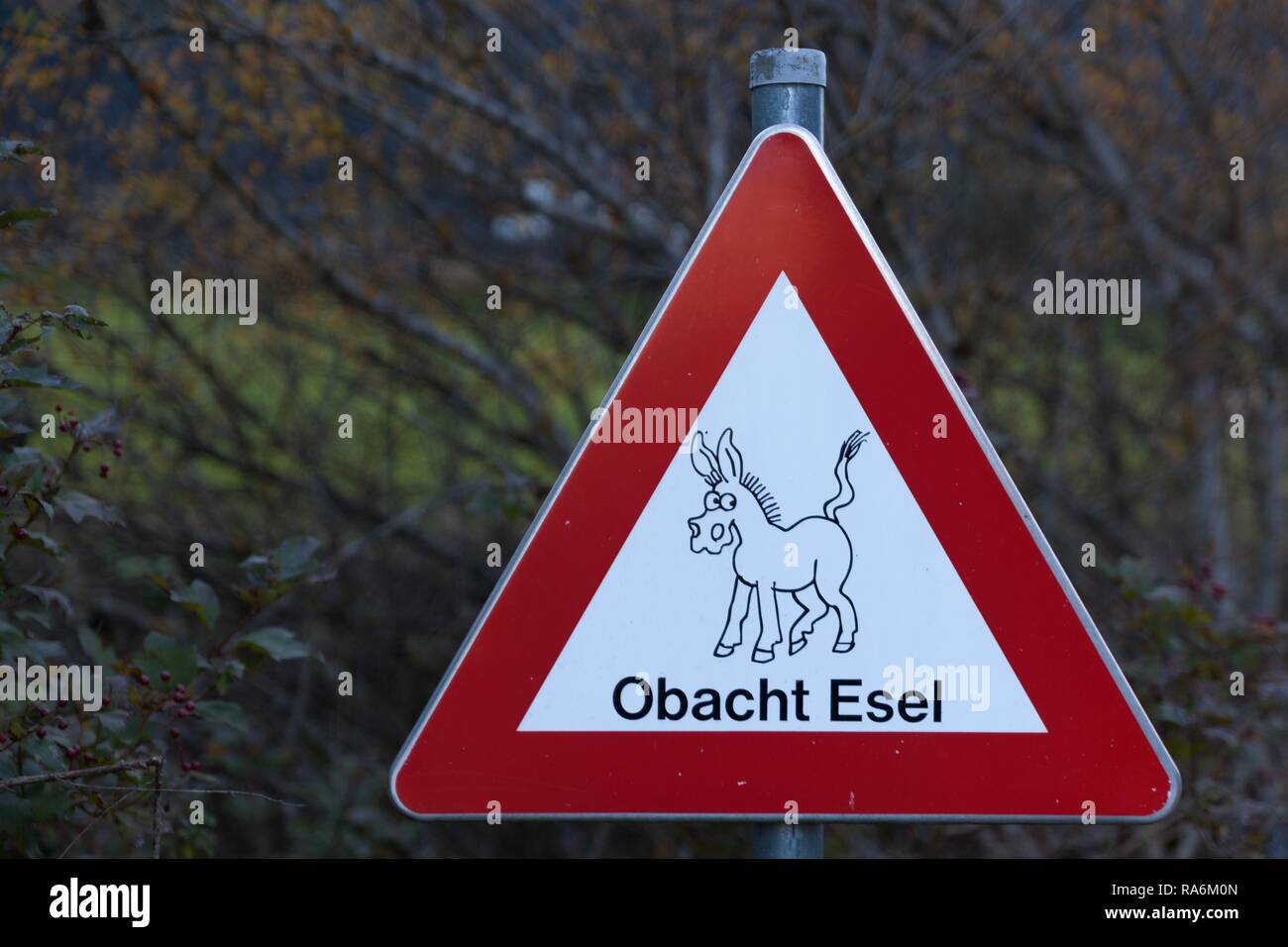 Warning sign with the inscription warning donkey, Austria Stock Photo ...