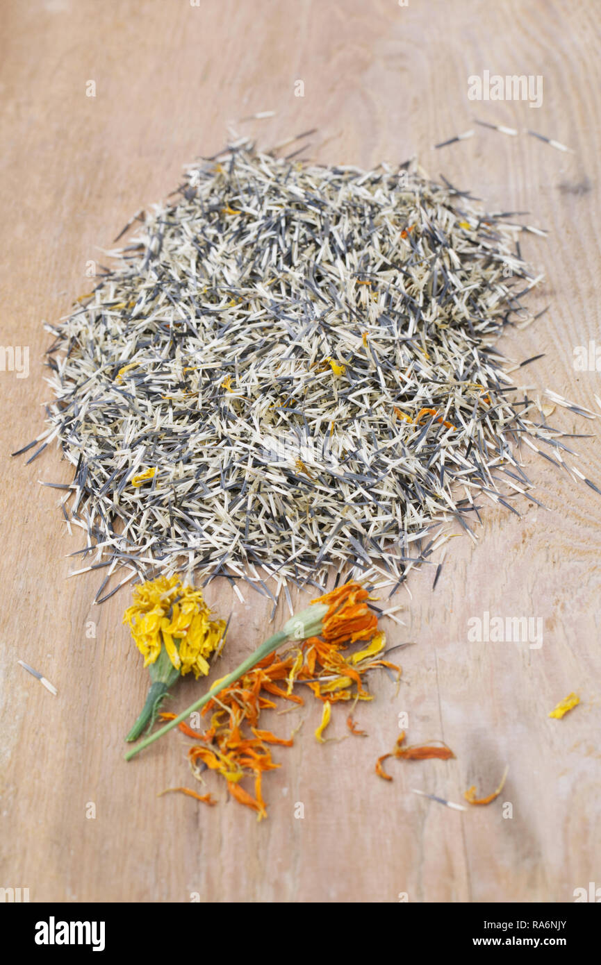 Marigold seeds hi-res stock photography and images - Alamy