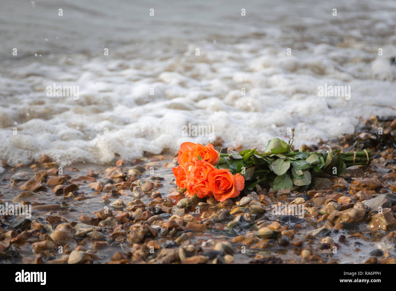 In loving memory flowers hi-res stock photography and images - Alamy