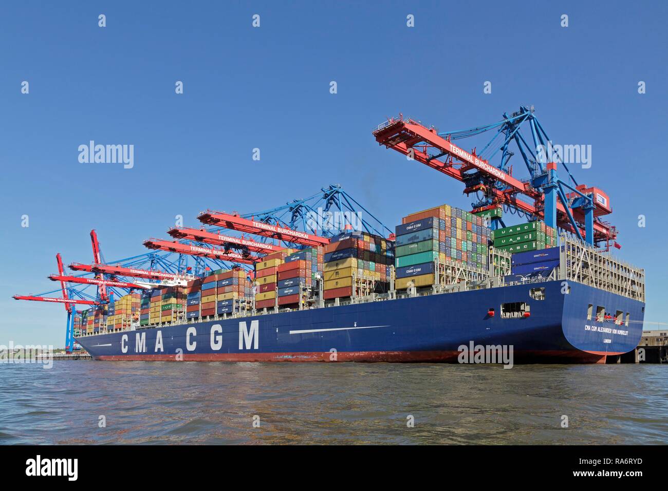 Burchardkai container terminal, container ship Alexander von Humboldt ...