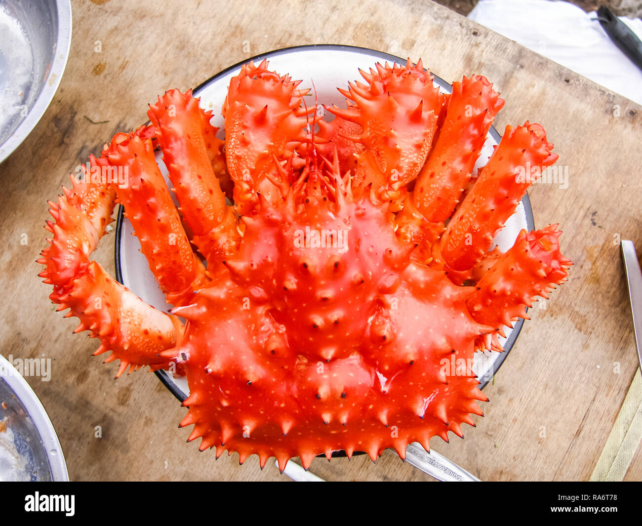 Nature of Kamchatka Far Eastern crab caught by man Stock Photo - Alamy