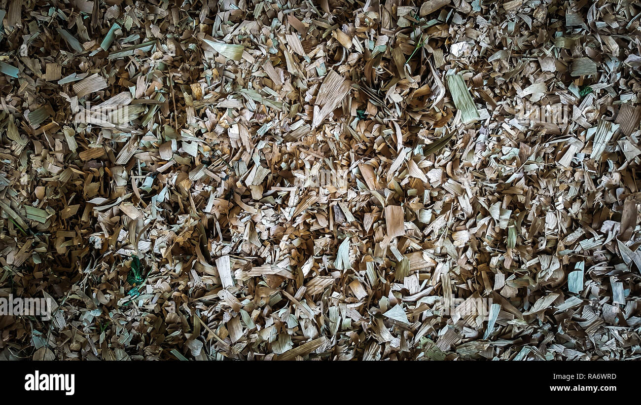 photos of dried leaves taken from above the color has become brown ...