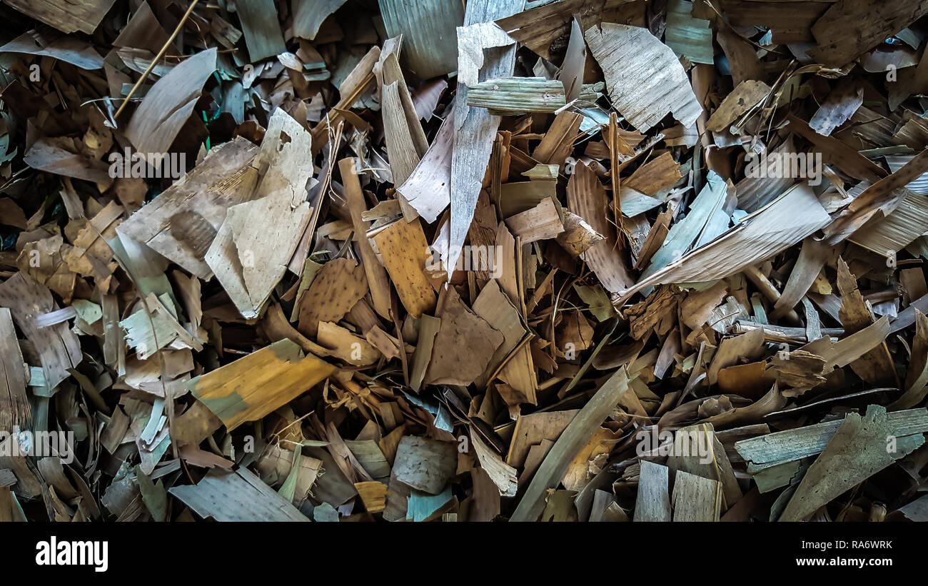 photos of dried leaves taken from above the color has become brown ...