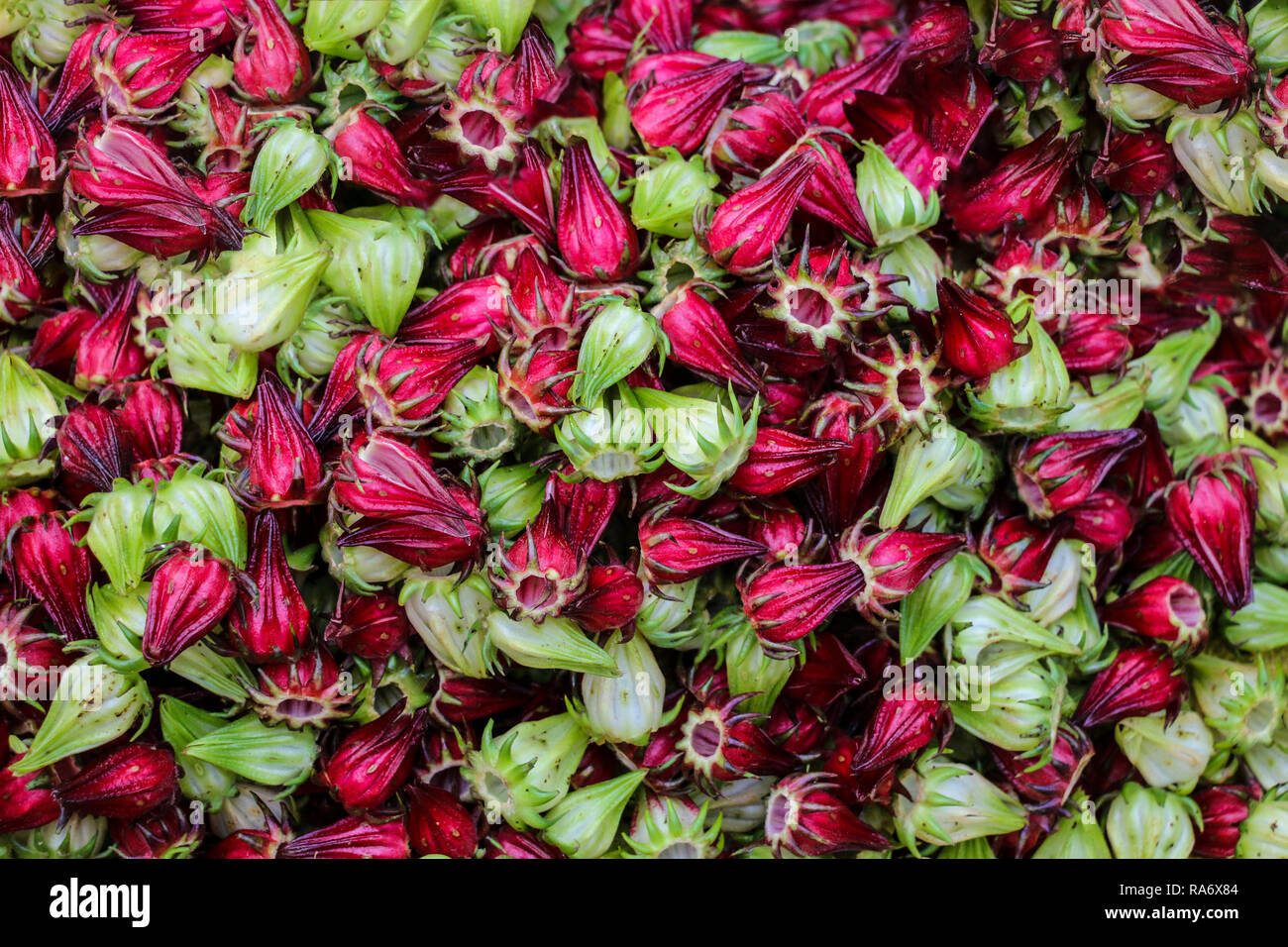 Roselle farm hi-res stock photography and images - Alamy