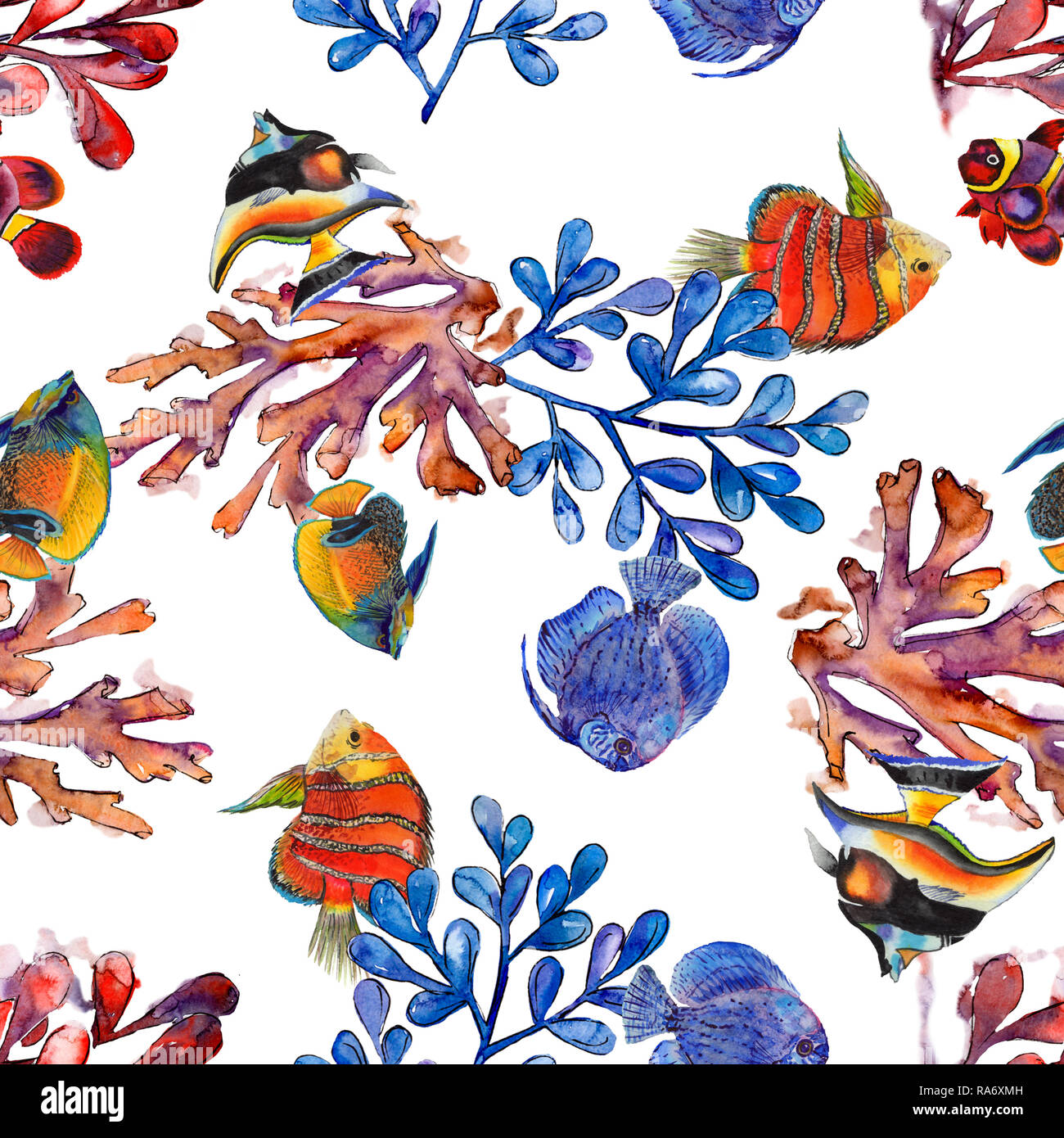 Watercolor aquatic underwater colorful tropical fish illustration set ...