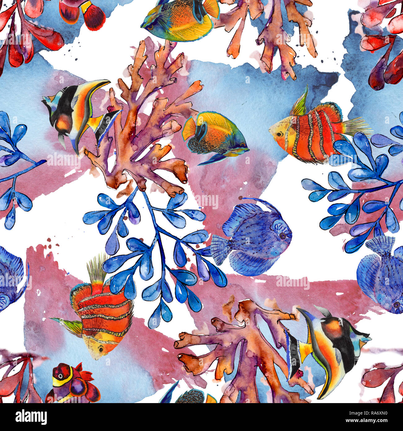 Watercolor aquatic underwater colorful tropical fish illustration set ...