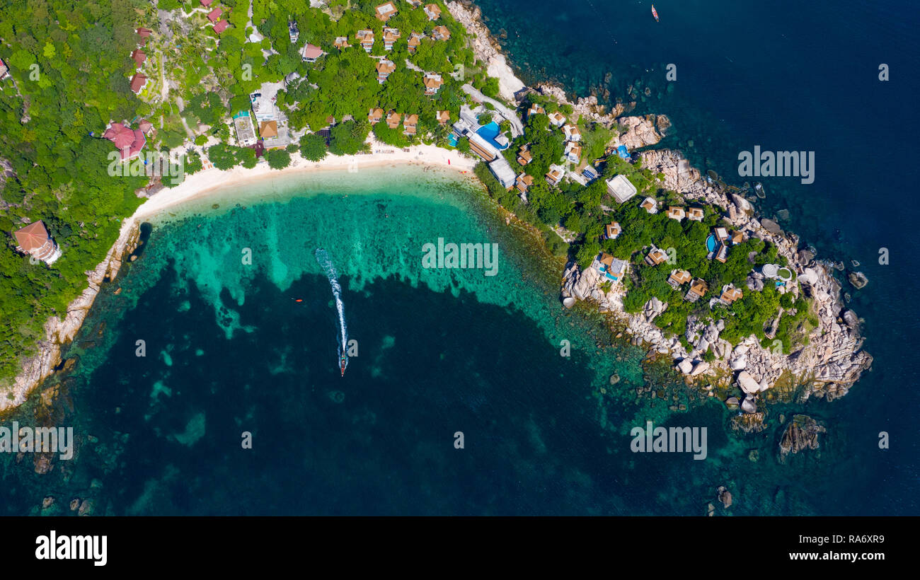 Daeng hi-res stock photography and images - Alamy