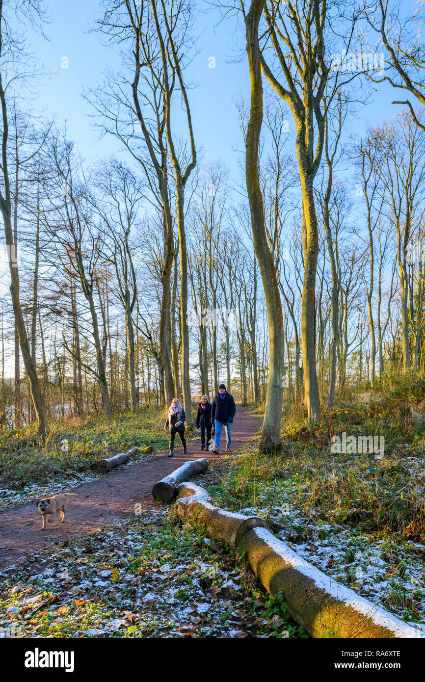 3 people (adults) walking on quiet scenic countryside path with small ...
