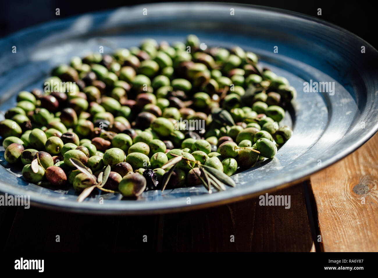 Olive Harvest High Resolution Stock Photography and Images - Alamy