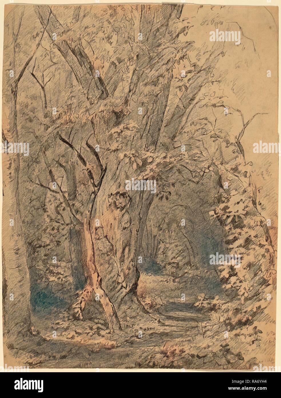 Walter Shirlaw, Tree and Foliage, American, 1838 - 1909, probably c ...