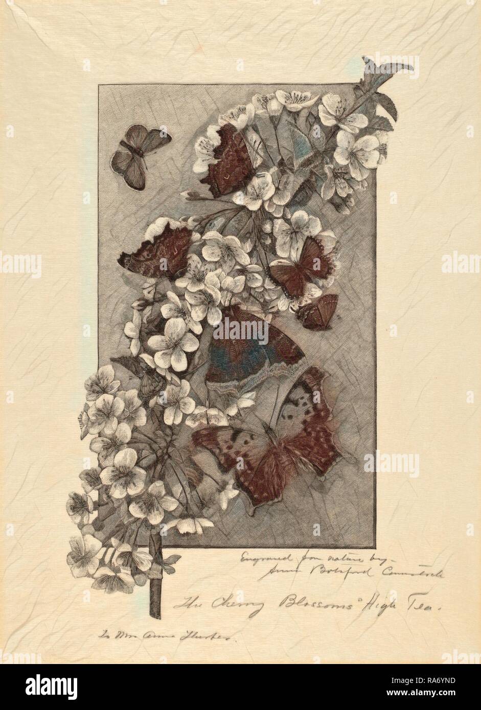 Anna Botsford Comstock, The Cherry Blossoms - High Tea, American, 1854 ...