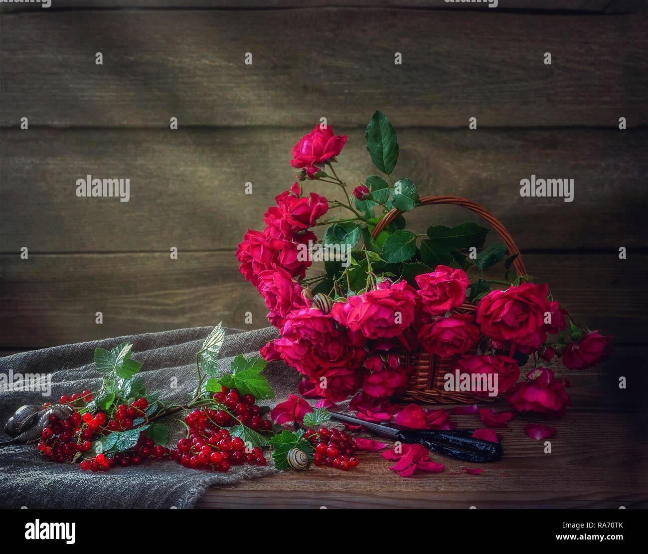 Still life with bouquet of roses Stock Photo - Alamy