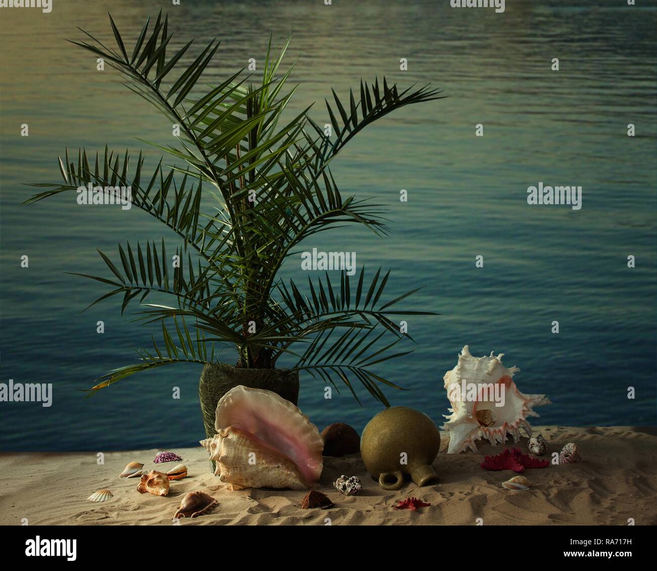 Still life on the sand beach Stock Photo - Alamy