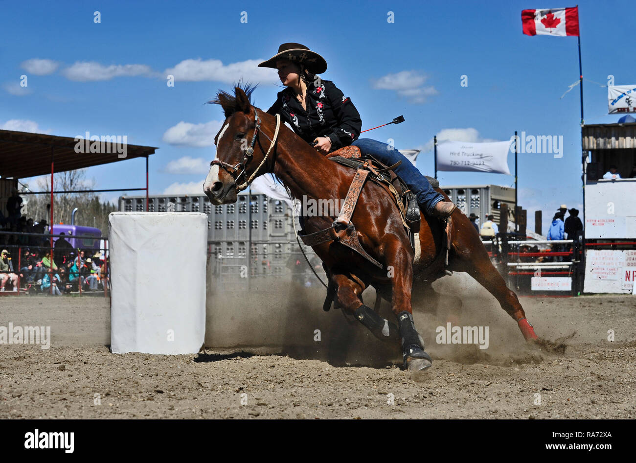 Canadian rodeo barrel racer hi-res stock photography and images - Alamy