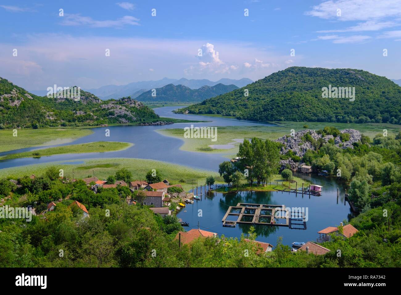 Skadar lake national park hi-res stock photography and images - Alamy