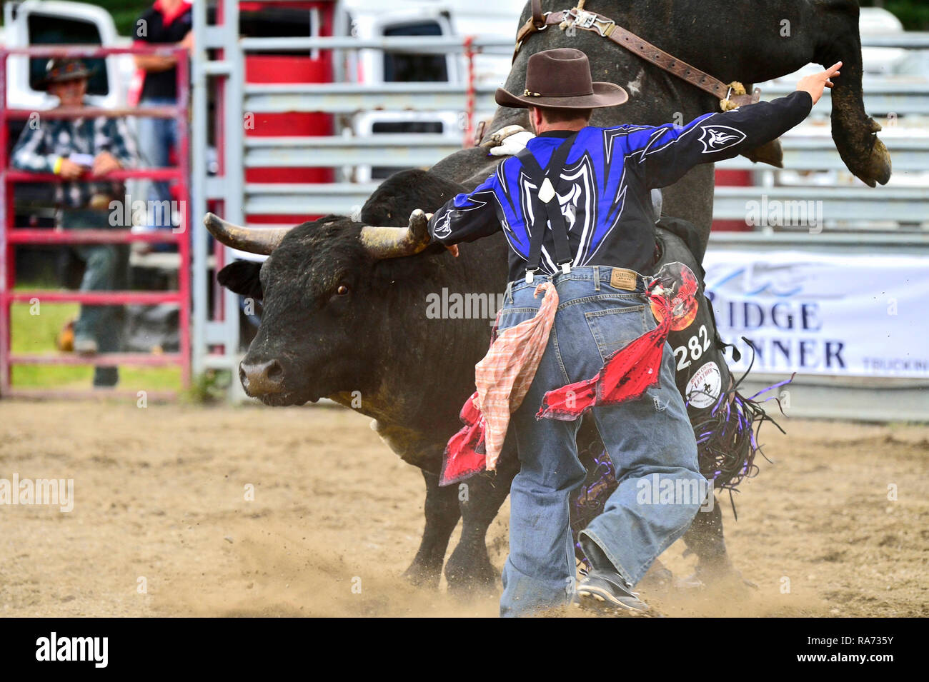 Cowboy has rear view hi-res stock photography and images - Alamy