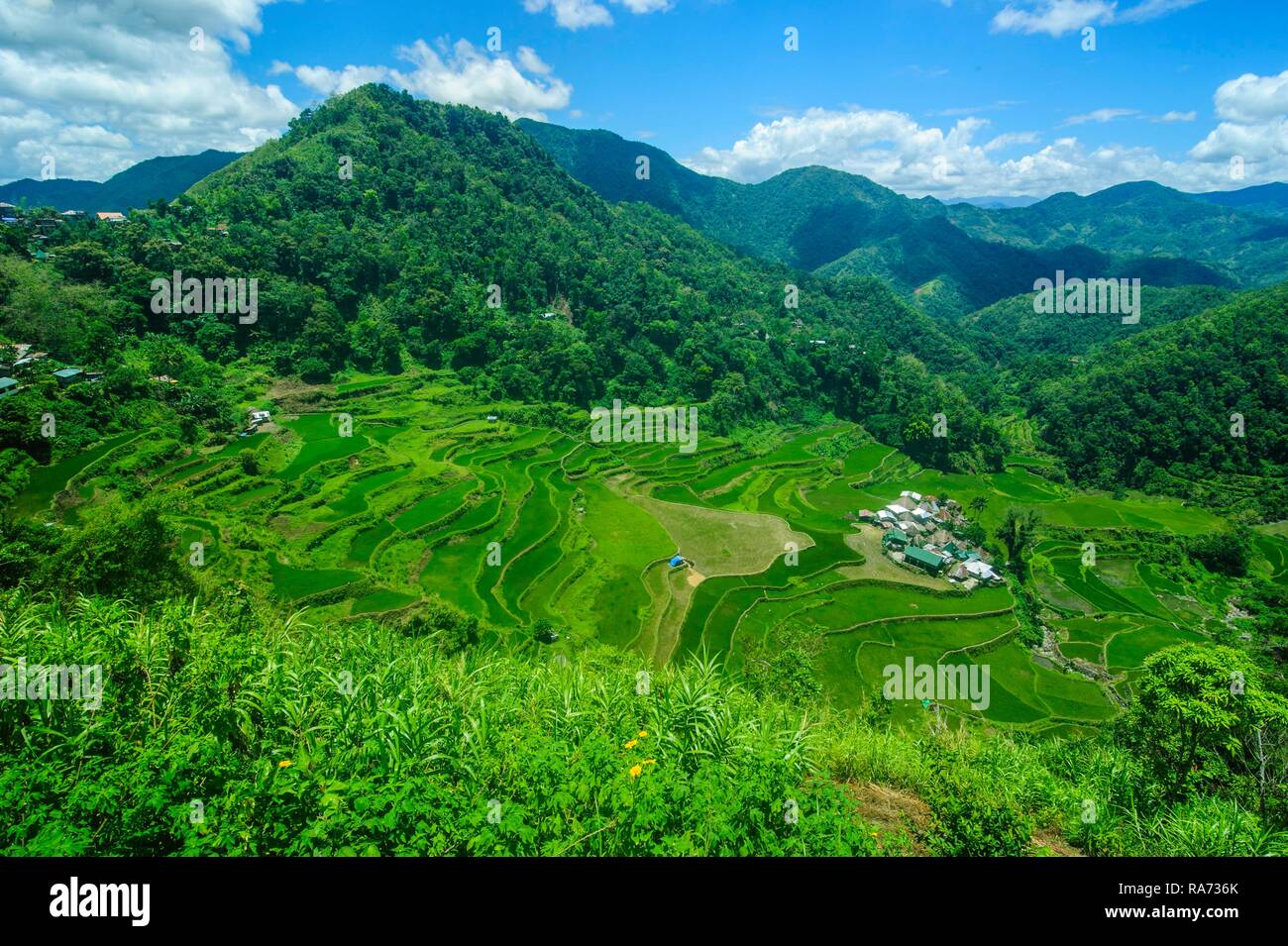 Bangaan in the rice terraces of Banaue, Northern Luzon, Philippines ...