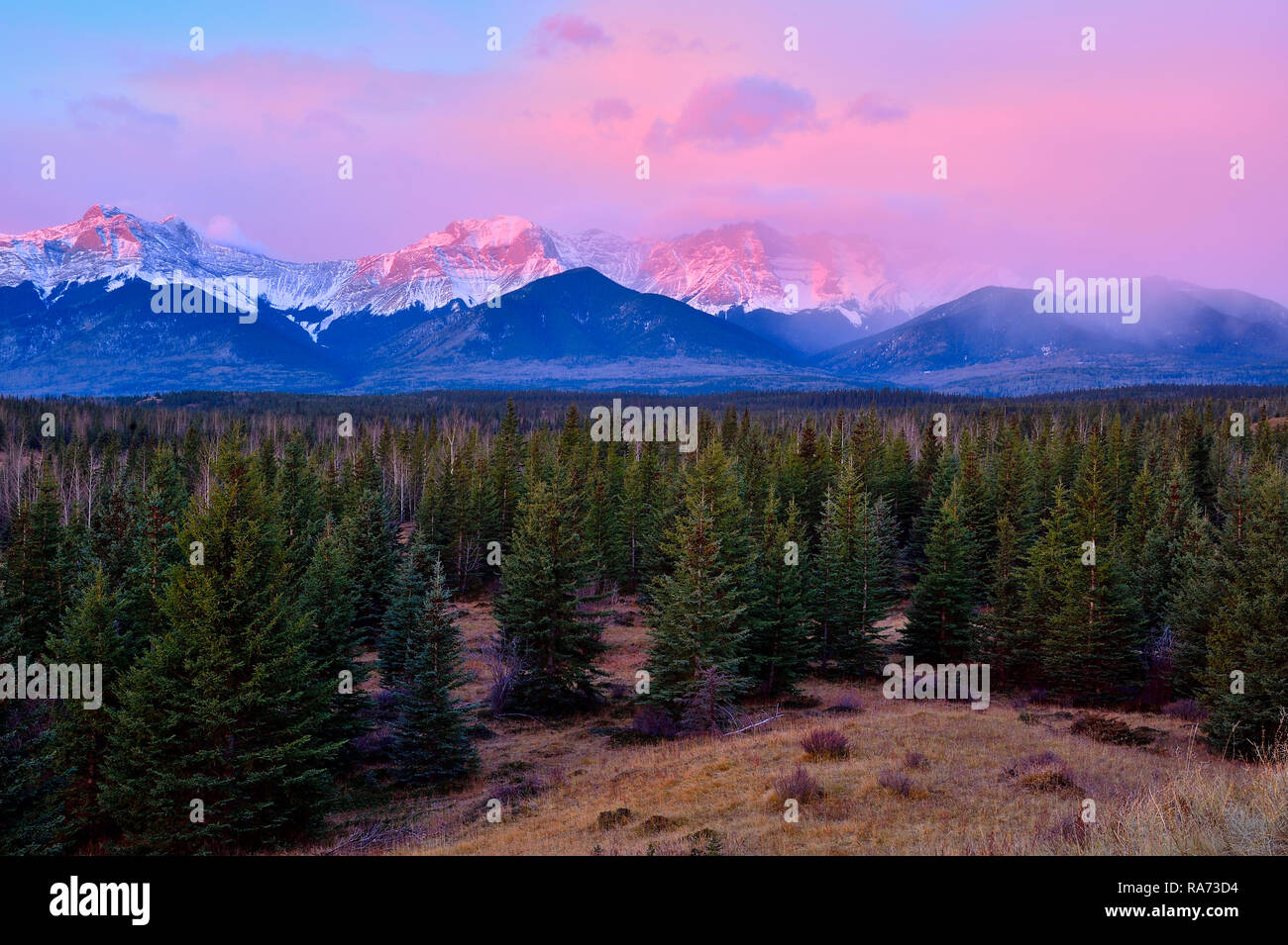 A landscape view of the Alberta Rocky Mountains in the early morning ...